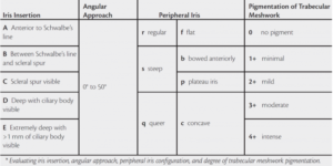 Gonioscopy: Understanding the Eye's Drainage System | Cure Glaucoma ...